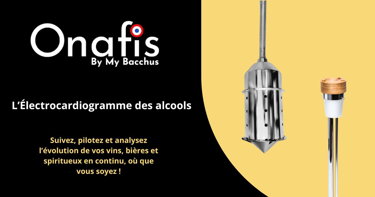 Onafis : L’Électrocardiogramme des alcools